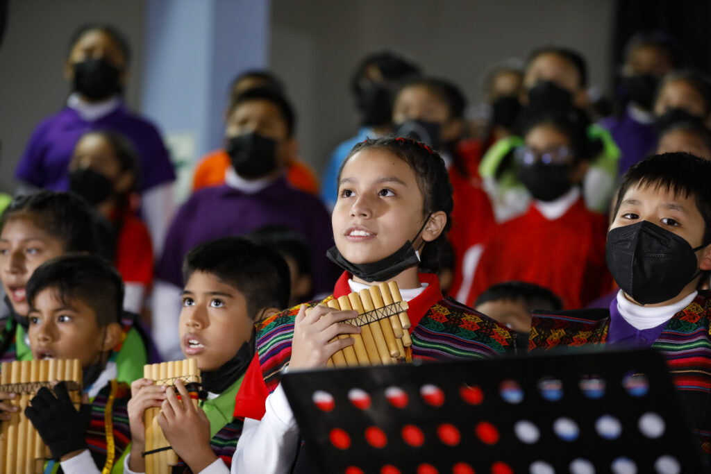 Sinfonía por el Perú, an Experience of Social Innovation – The Ensemble